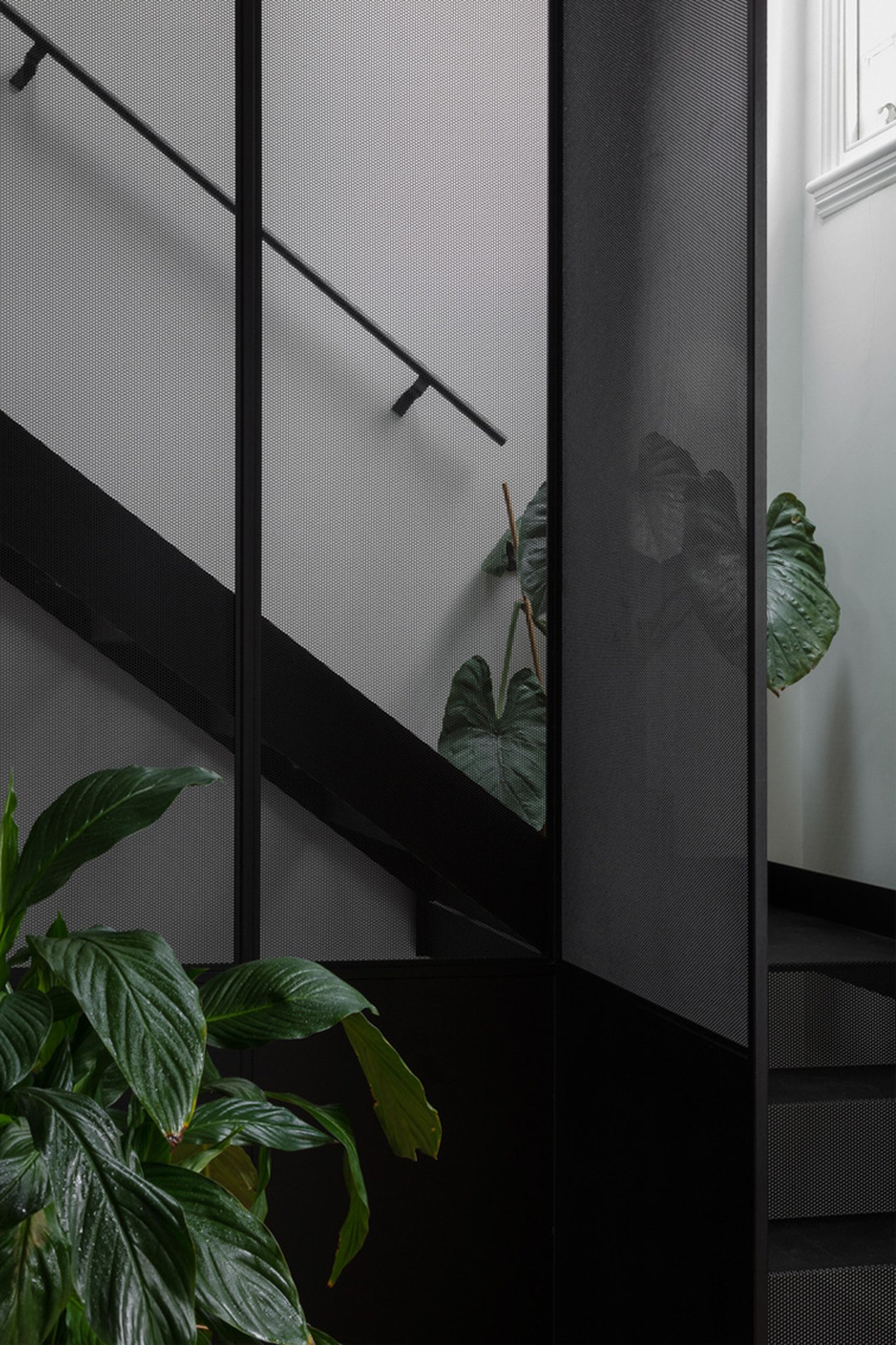 Air House | Szczepaniak Teh