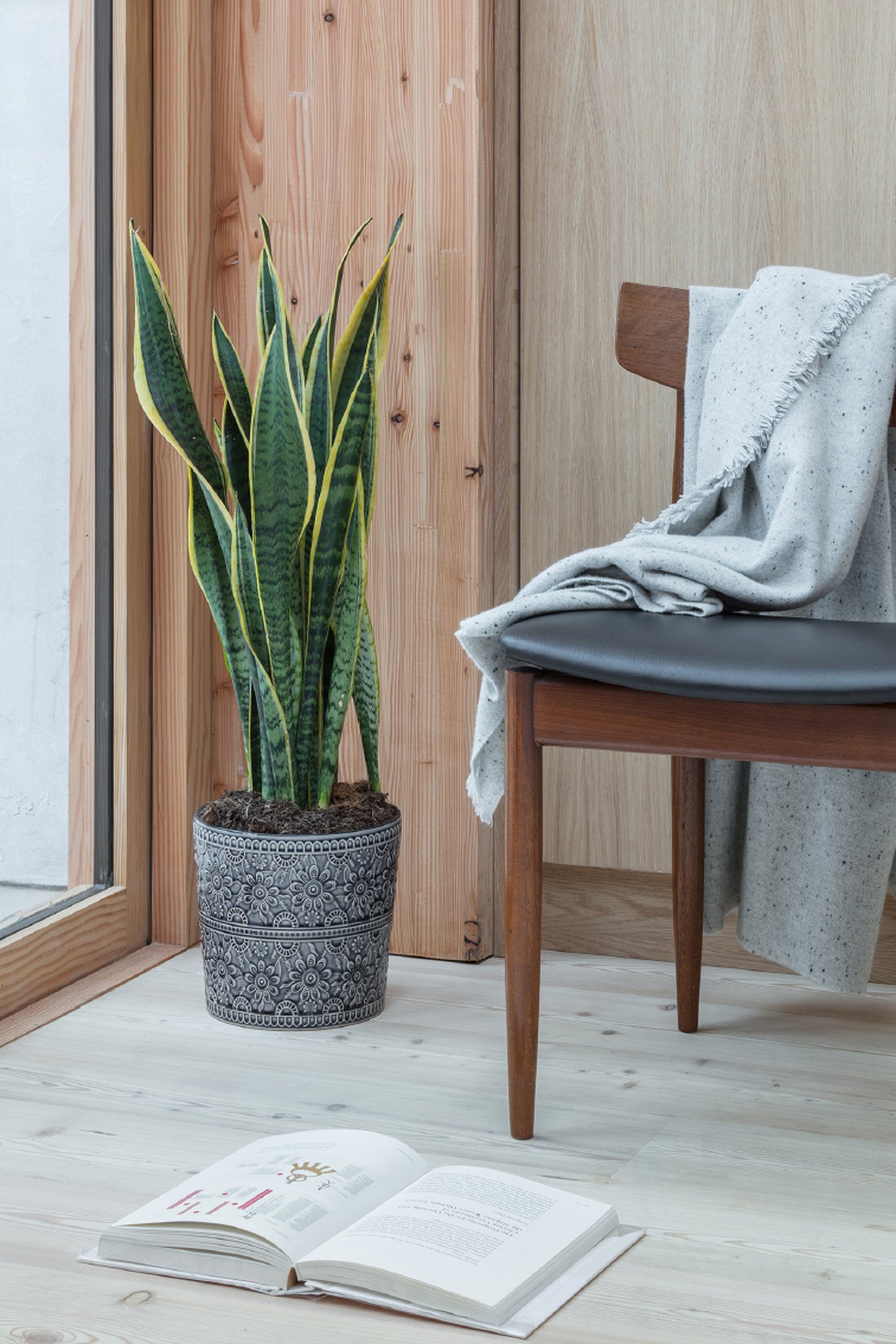 Larch House | Szczepaniak Teh