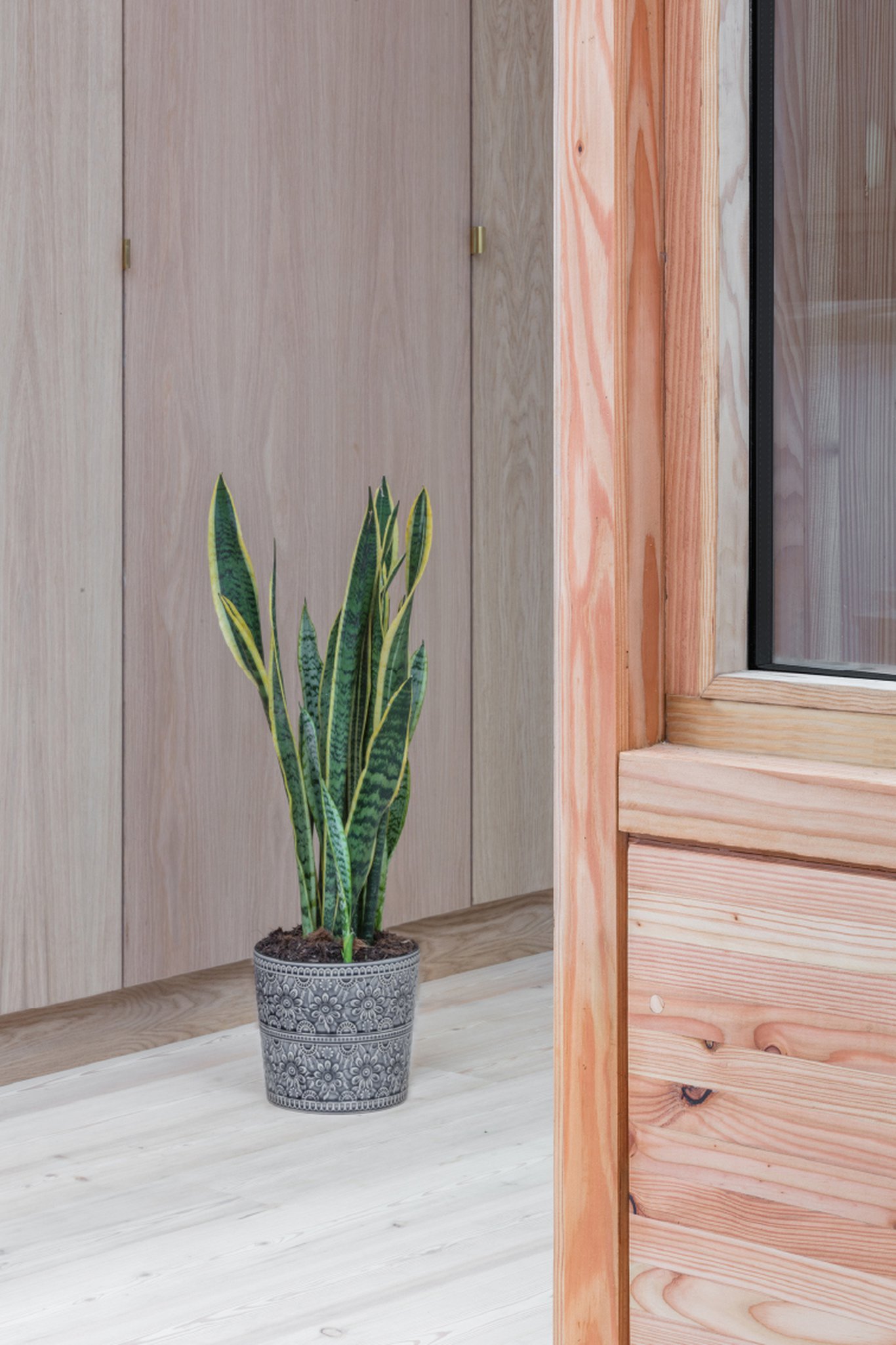 Larch House | Szczepaniak Teh