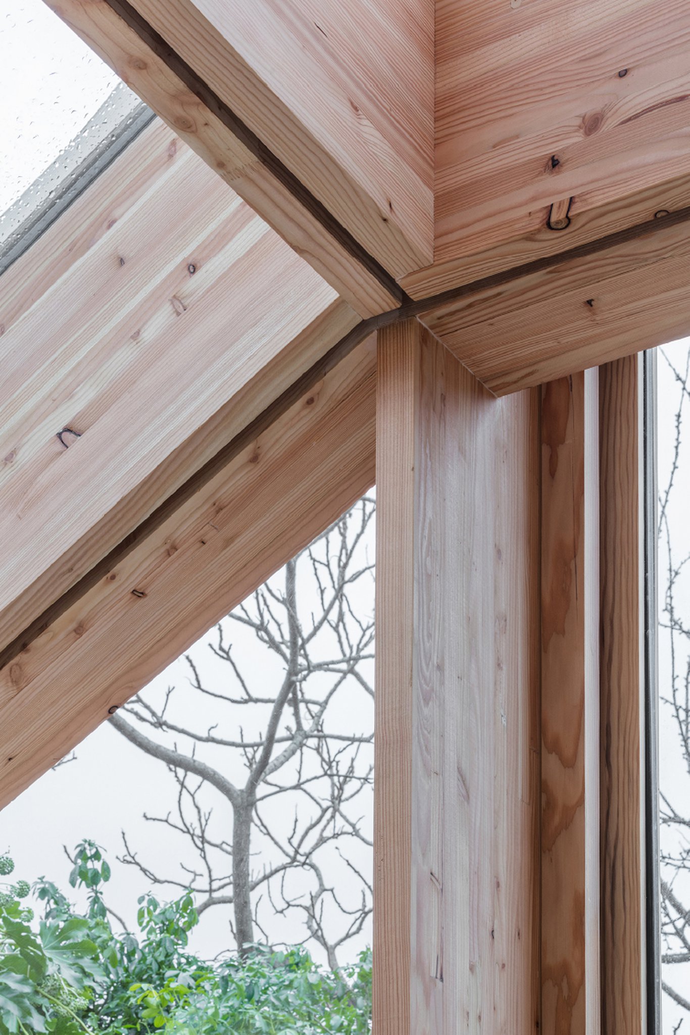 Larch House | Szczepaniak Teh