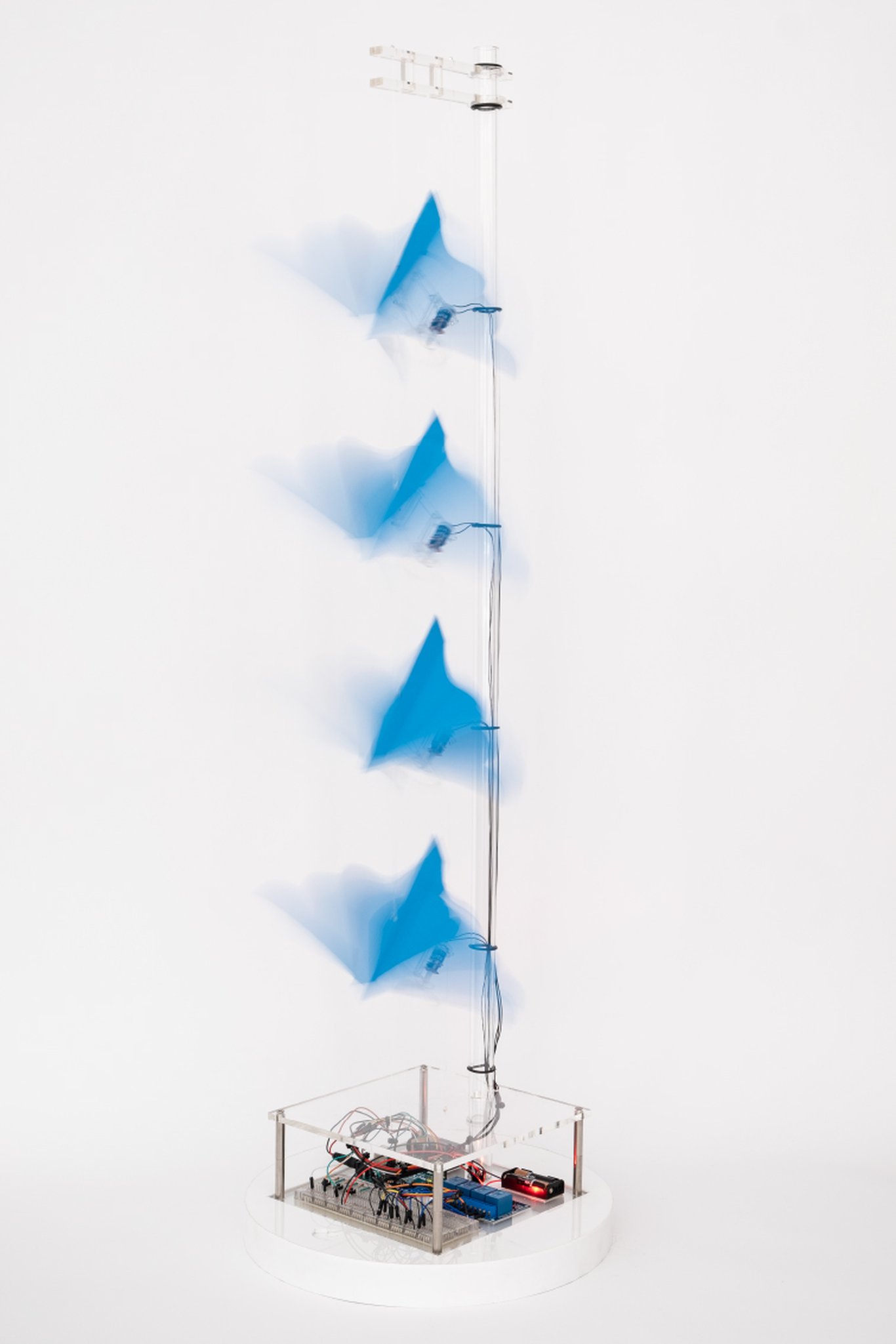 Twitter Murmurations | Szczepaniak Teh