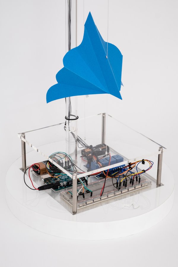 Twitter Murmurations | Szczepaniak Teh